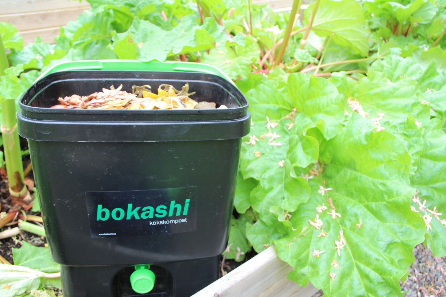 What is bokashi? – Bokashiworld