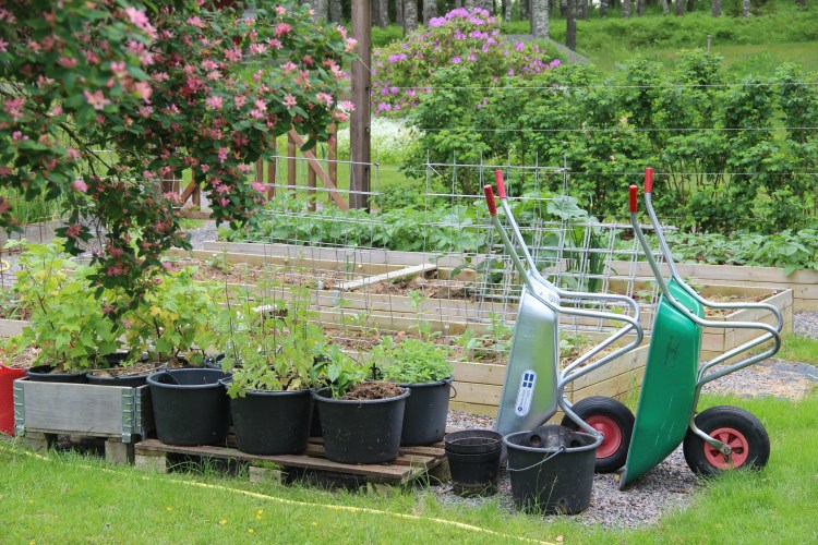 11. Containers and pot plants – Bokashiworld